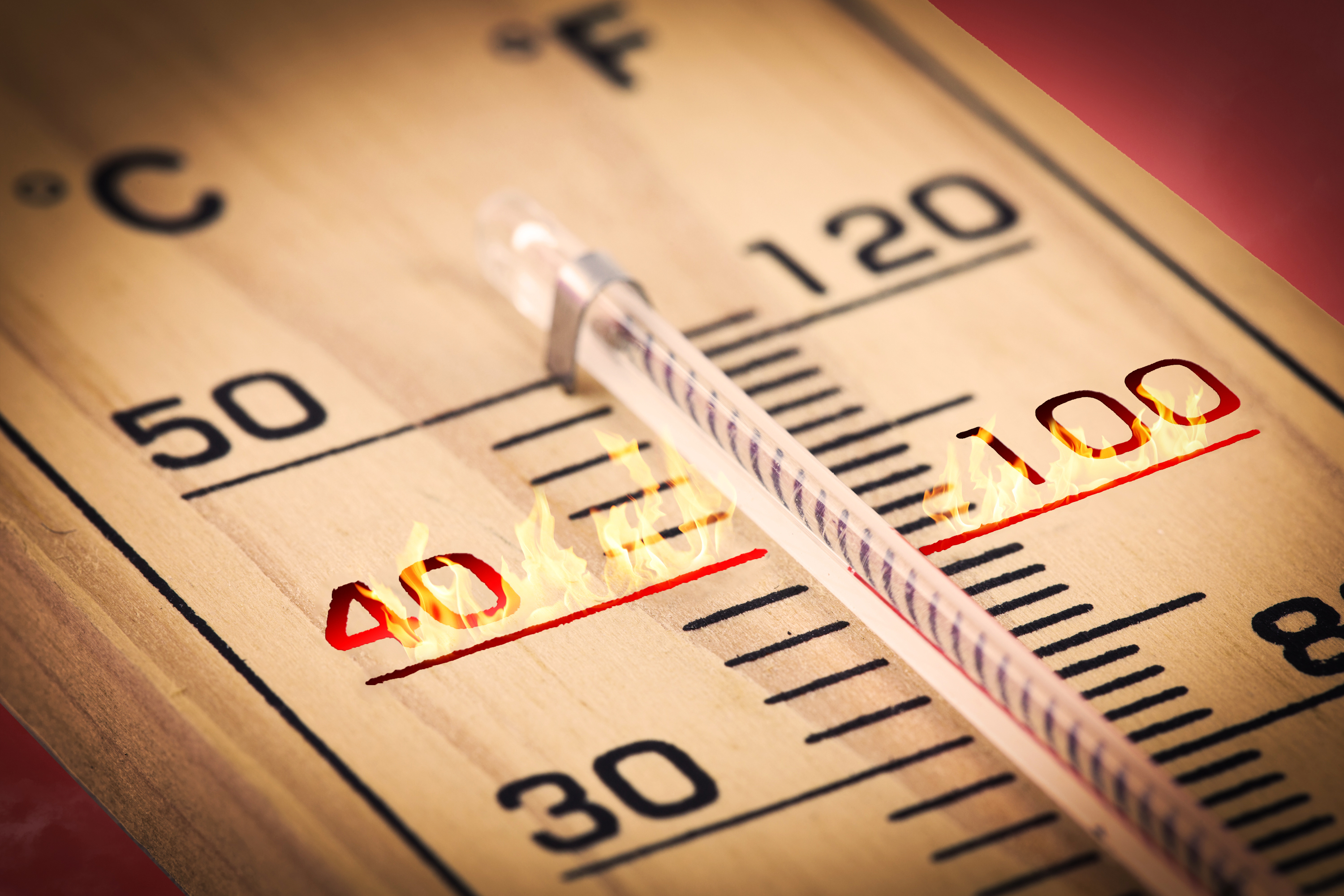 Employee Surveys Measure Your Company Temperature | NBRI