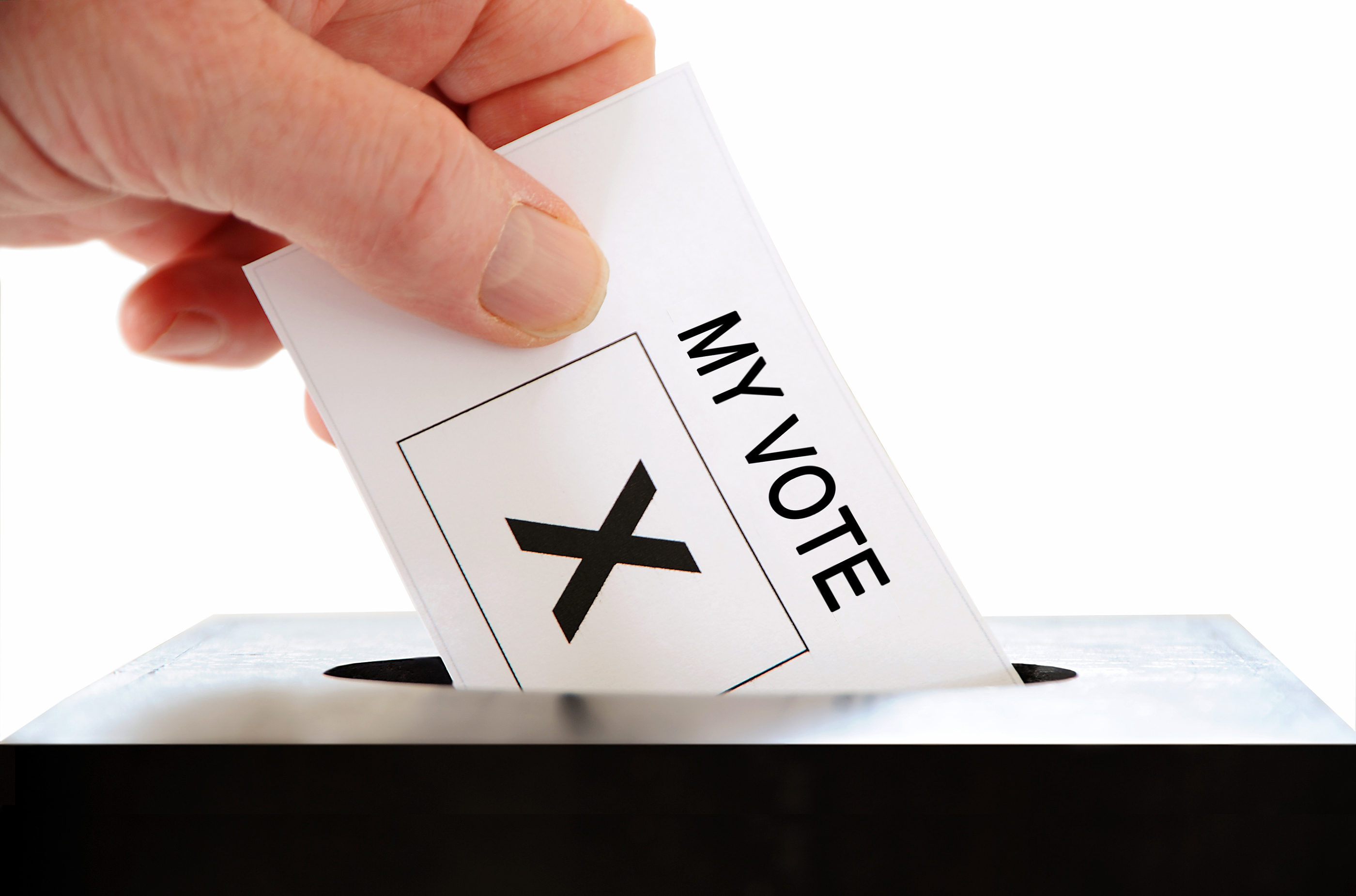 Why Public Opinion Plays a Big Role in Election Results | NBRI